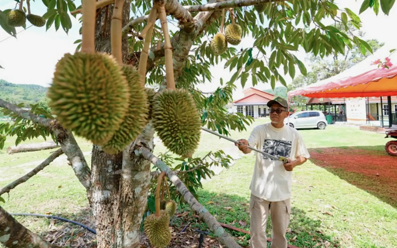 This retired couple built a life around durians and creativity