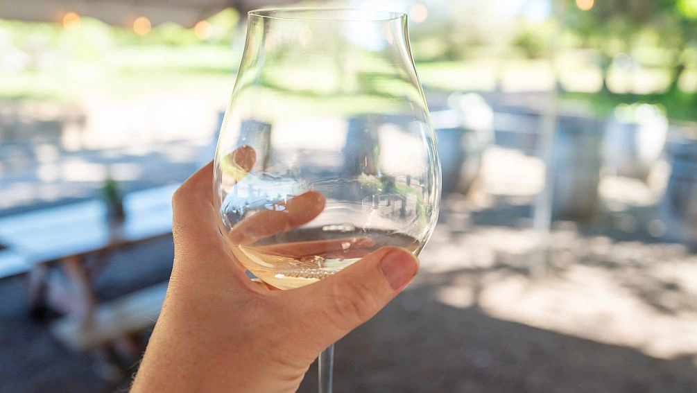 6 award-winning and sustainable boxed wines