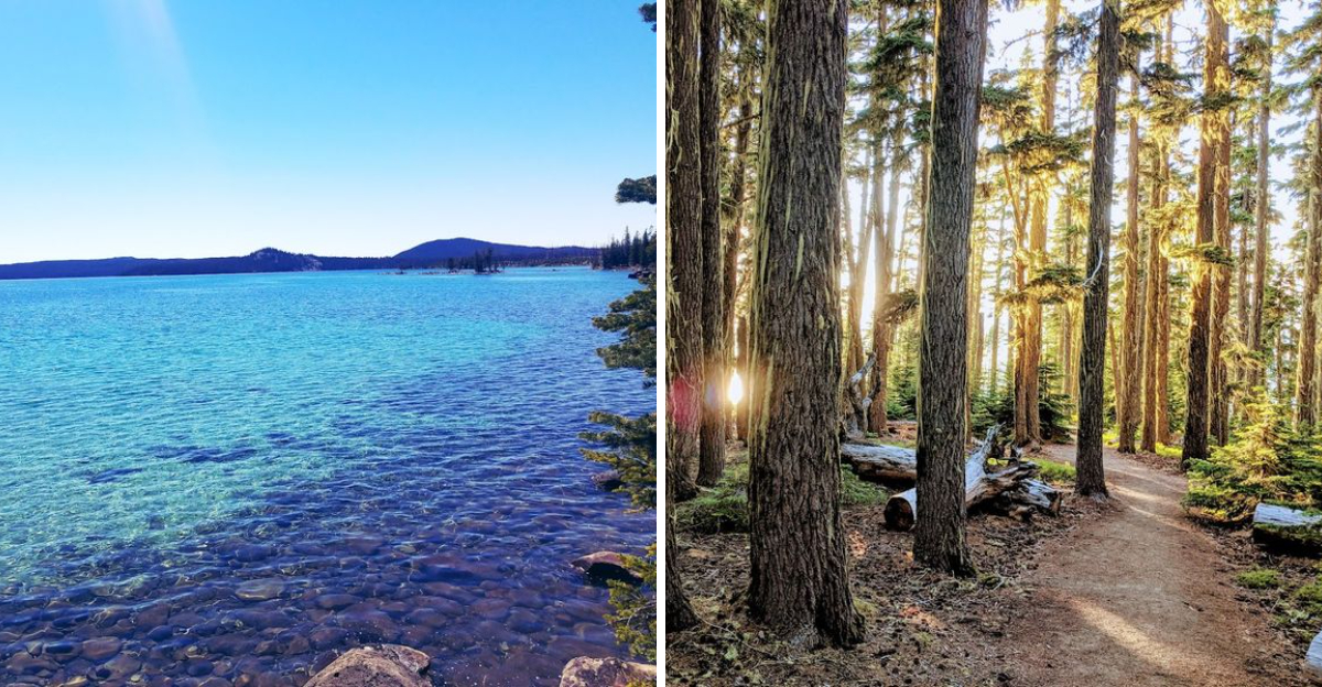 This spring-fed Oregon lake has water so clear you can see the bottom ...