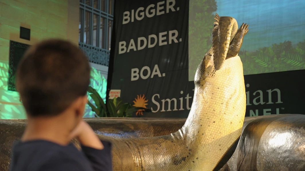Titanoboa: Apex predator of the Paleocene tropics