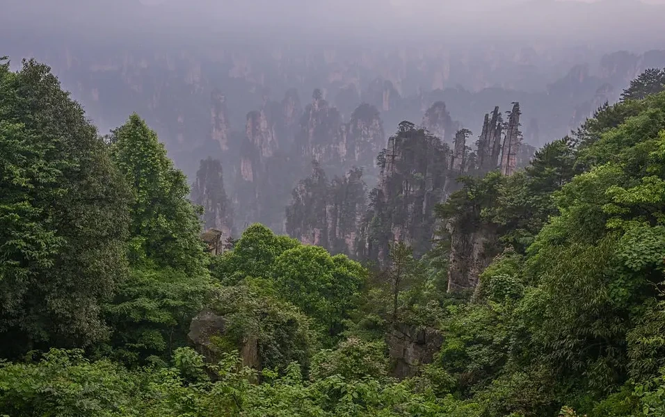 Step into the real-life Avatar mountains of China