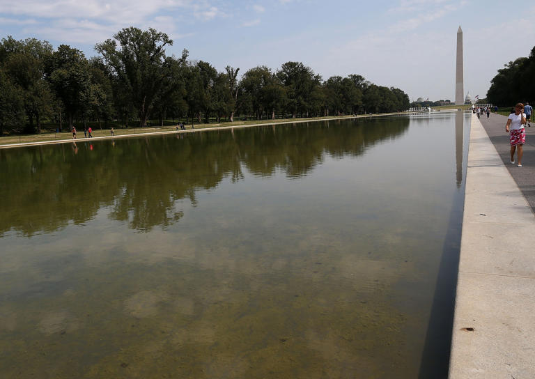 Algae back in Reflecting Pool days after $14M Trump renovation: report