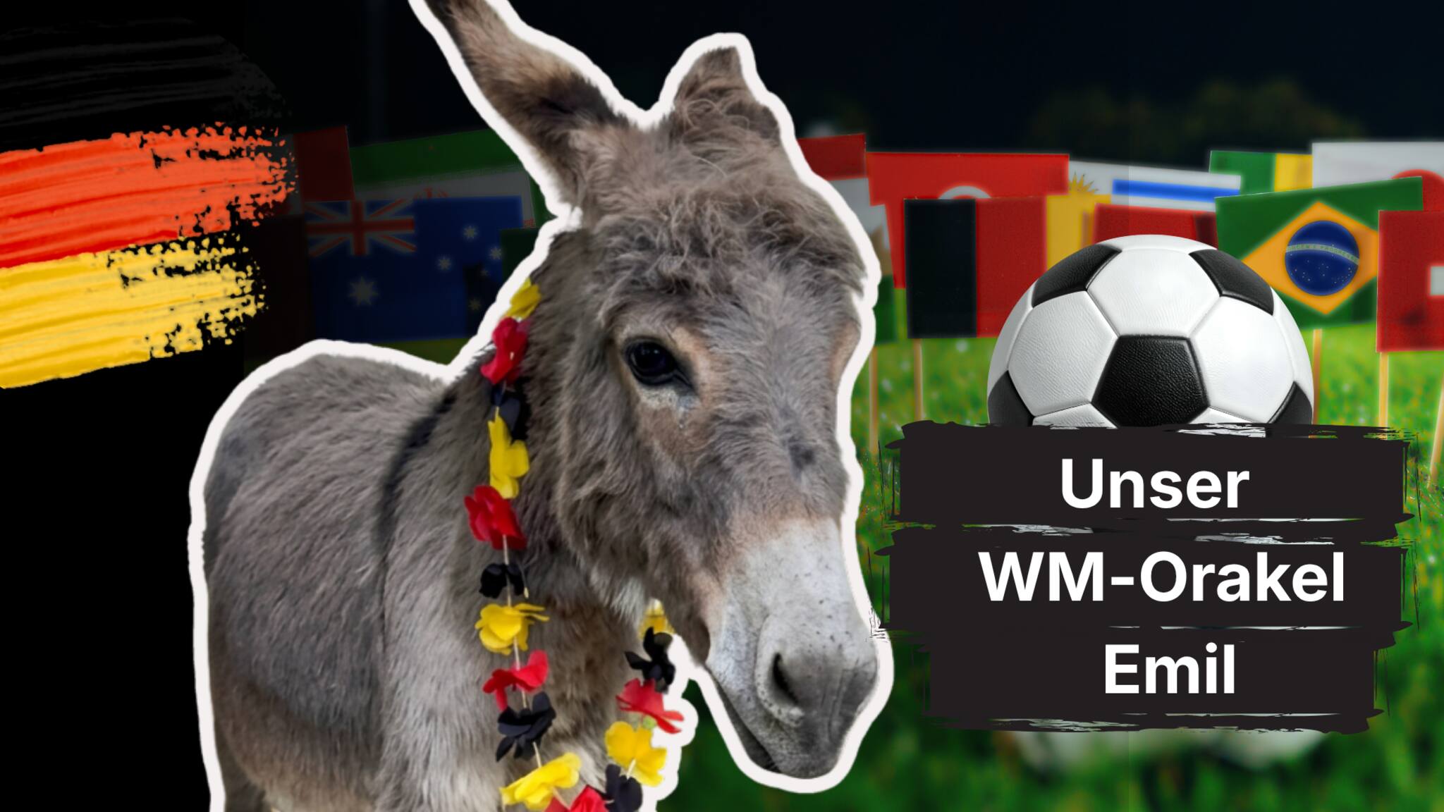 Deutschland – Curaçao: Dieses Ergebnis sagt WM-Orakel Esel Emil voraus