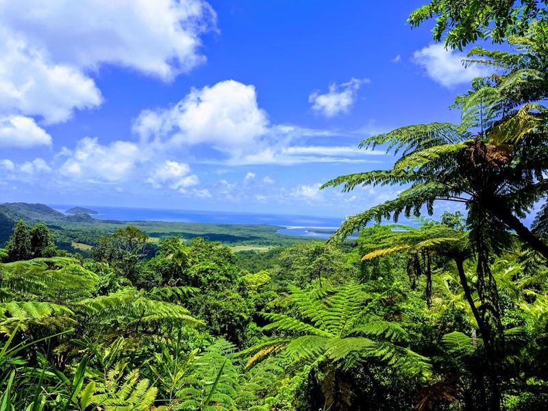 14 rainforest regions with animals found nowhere else