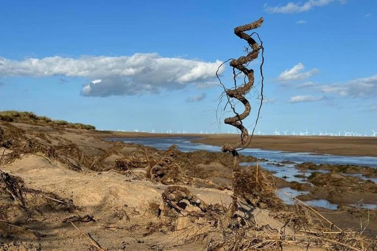 From barbed wire to Bomber County: Hidden war-time relics revealed ...