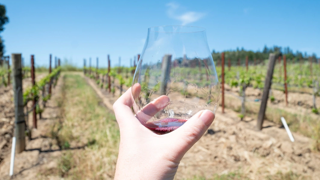 California's lesser-known wine regions and experiences