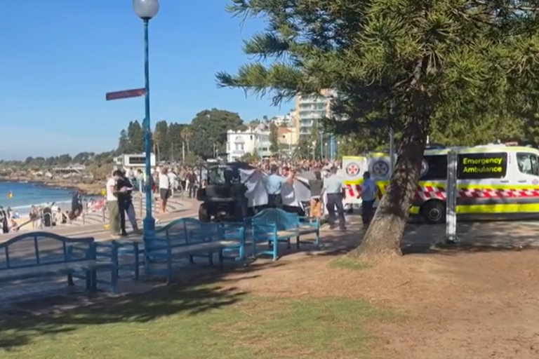Shark seen swimming by beach after woman critically bitten in 'waist ...