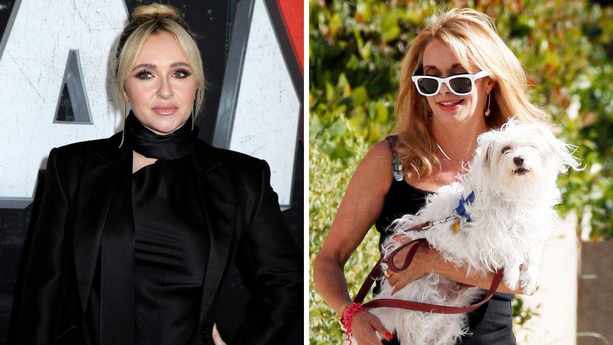 Inside Hayden Panettiere's estrangement with her mom Lesley Vogel ...