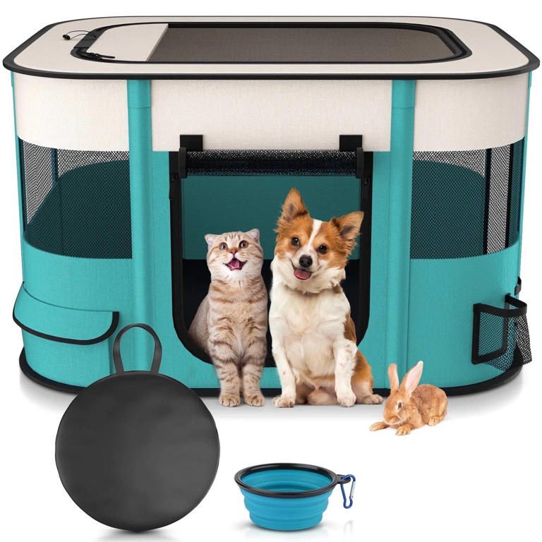 Walmart's $30 portable pet tent keeps dogs and cats safe and happy ...