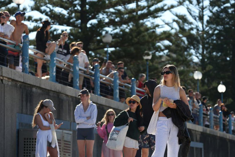 Woman seriously injured in shark attack at Sydney beach