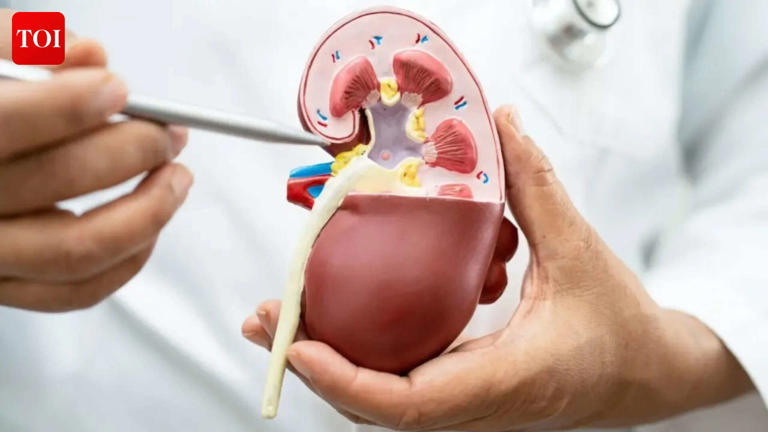 Kidney disease breakthrough: New drug shows tremendous promise for ...