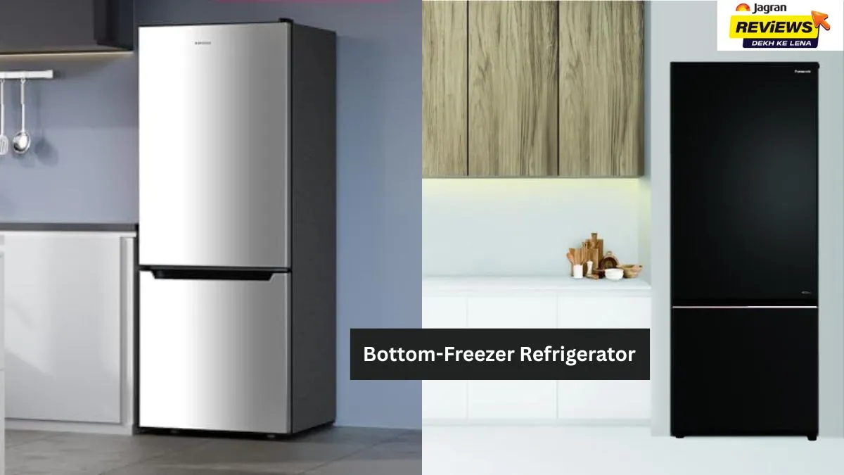 The 5 useful bottom-freezer refrigerators for ergonomic kitchens: Our ...