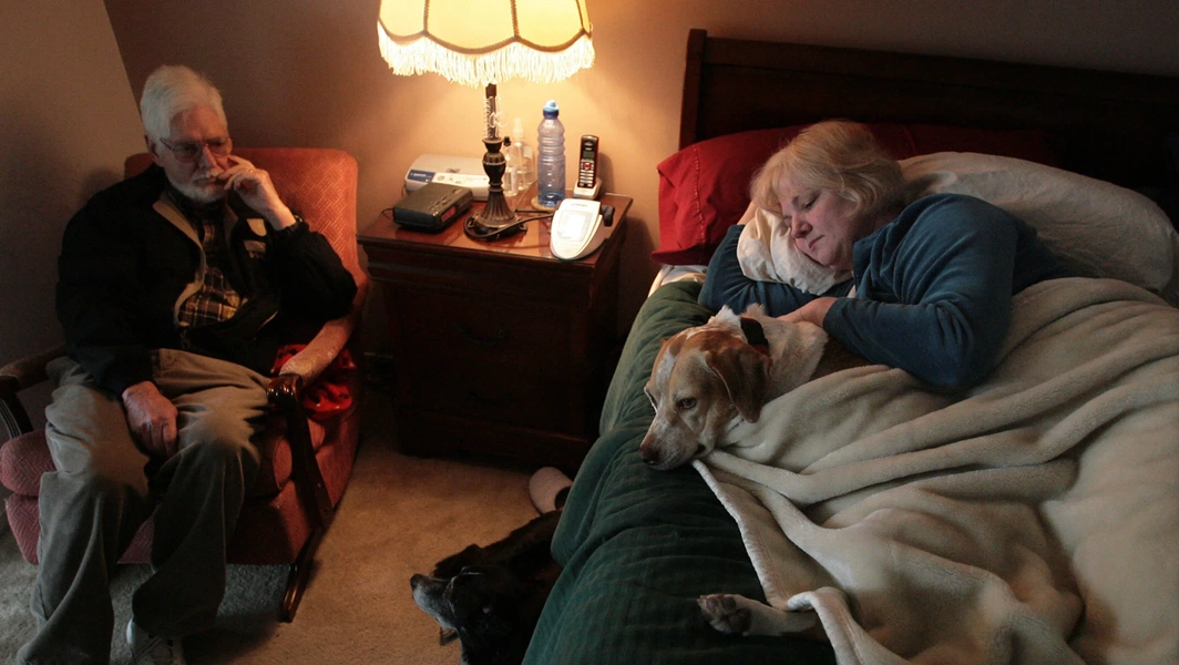 Guiding your dog through the final stage of life