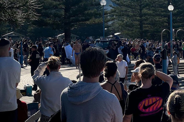 Woman fighting for life after Sydney shark attack