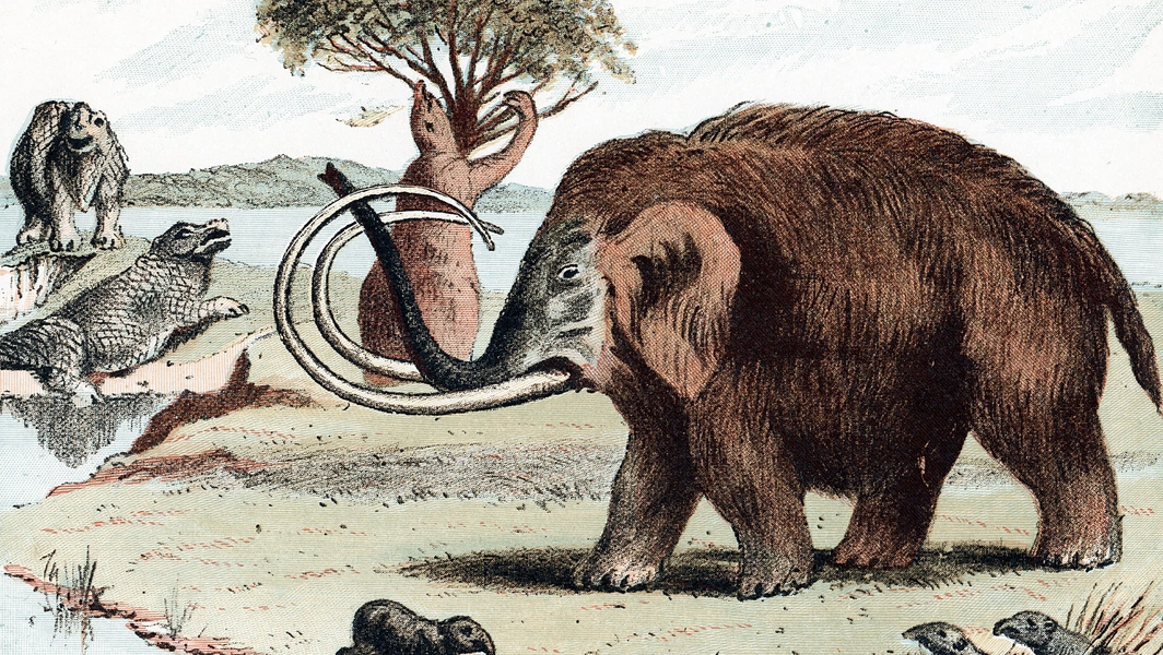 Genetic engineering and the woolly mammoth revival