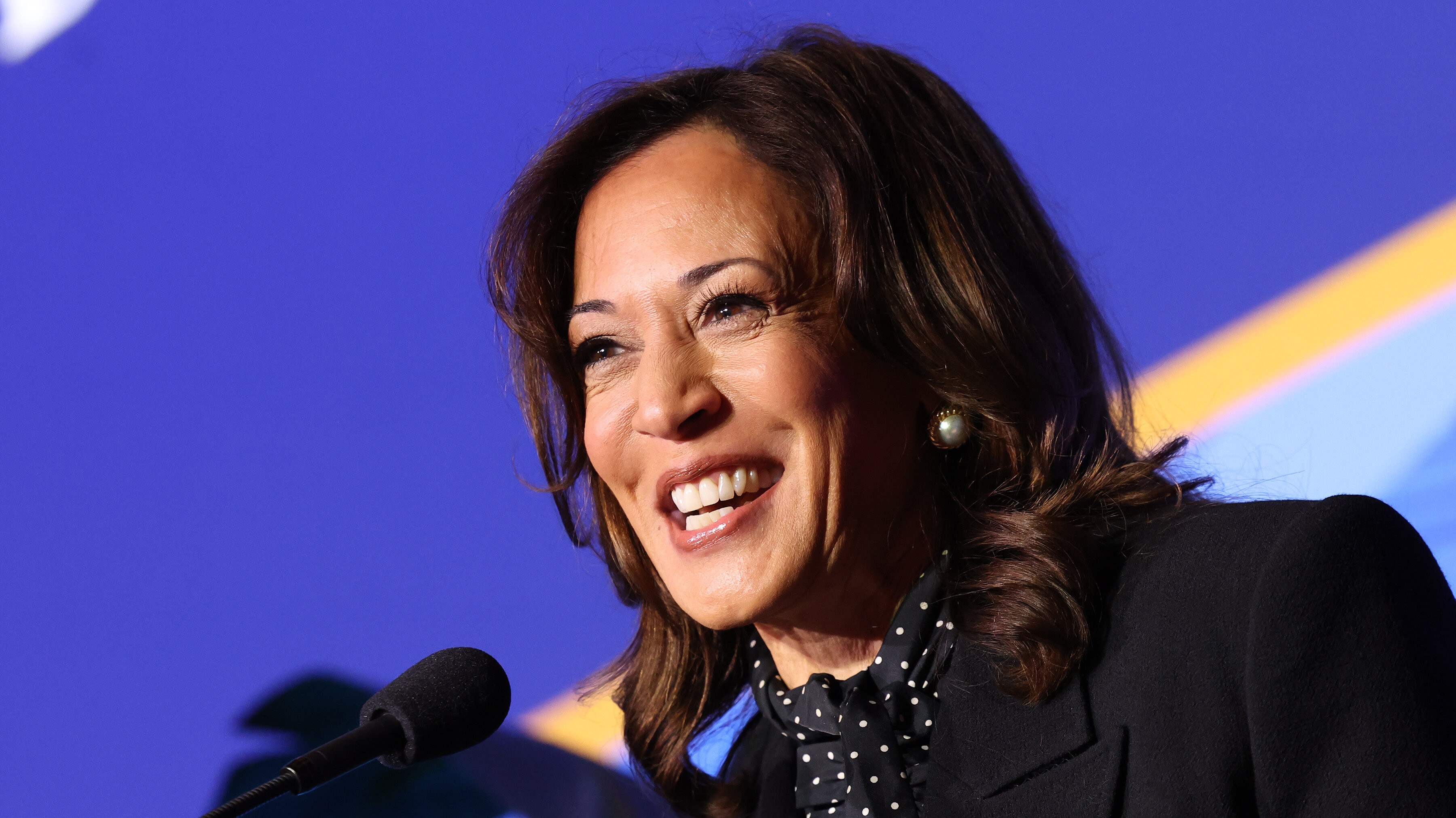 Peiling presidentsverkiezingen 2028: Kamala Harris ligt voor op Gavin ...