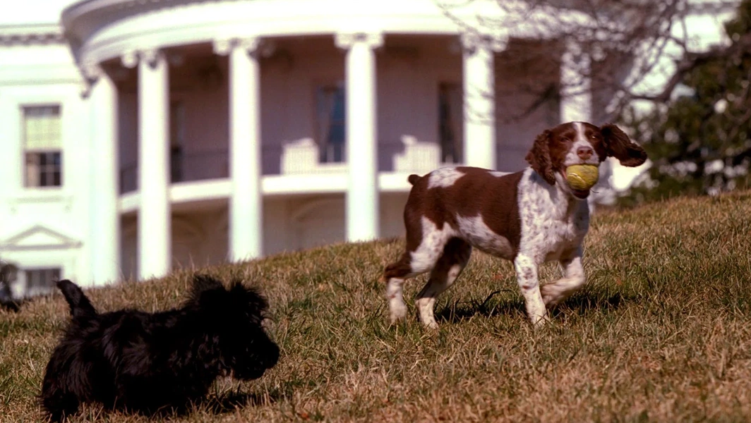 14 famous figures and their beloved animals