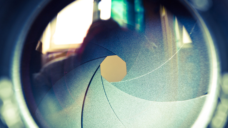 What is a macro lens, and how do you use one?