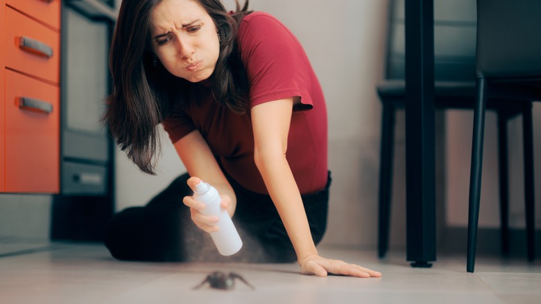 How to stop spiders from building webs on your home's exterior