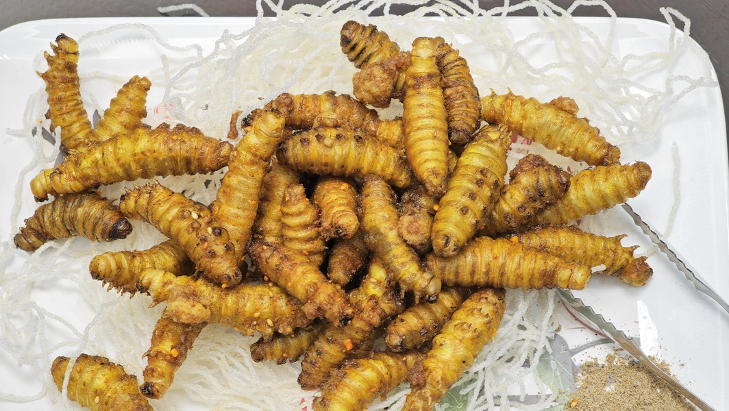 A delicious journey through Chinese cuisines
