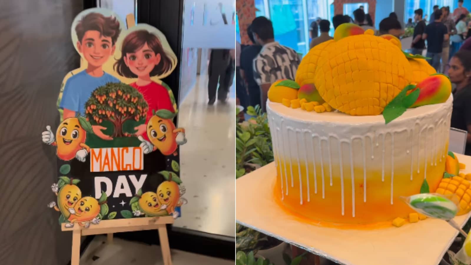 Bengaluru Google employee rushes to office at 4 PM just to attend mango ...