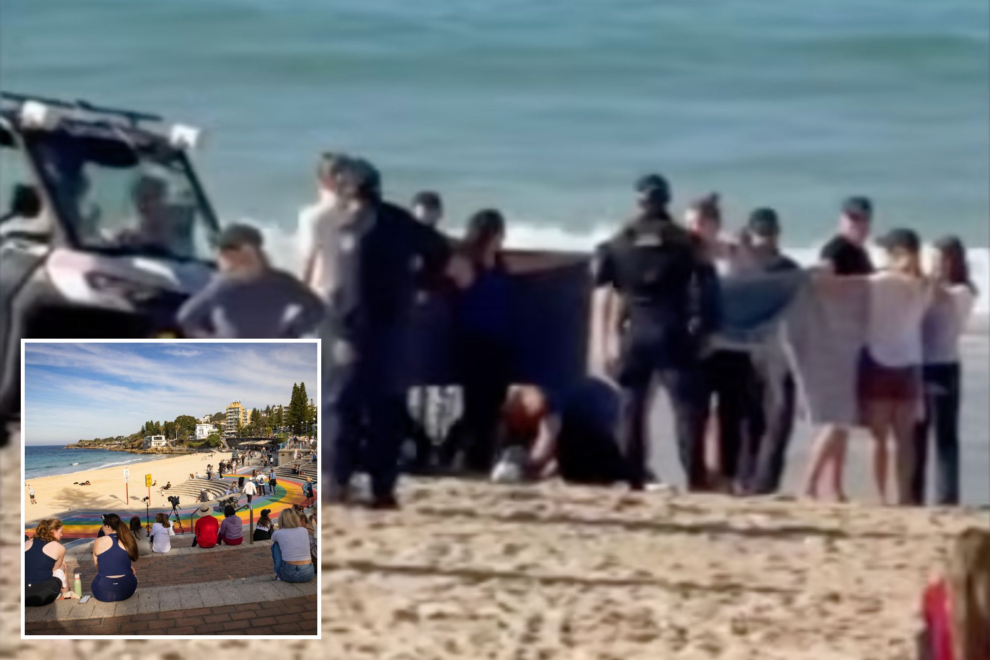 Swimmer critically injured in shark attack off Australian beach