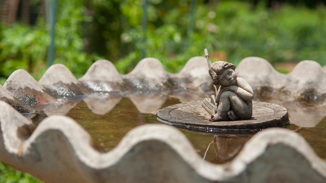 Human activities that threaten bird survival