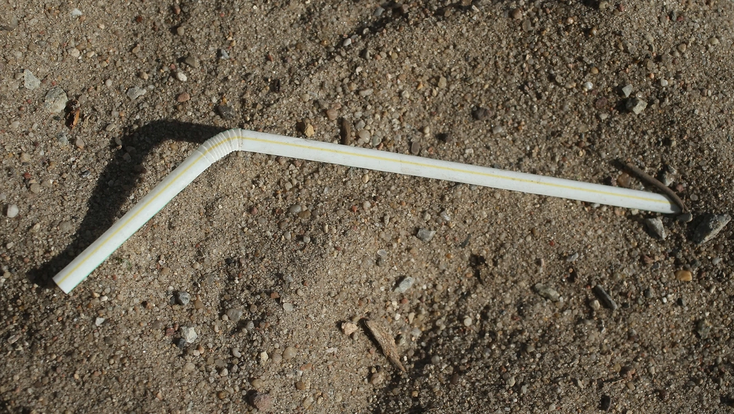 15 everyday items that harm the environment