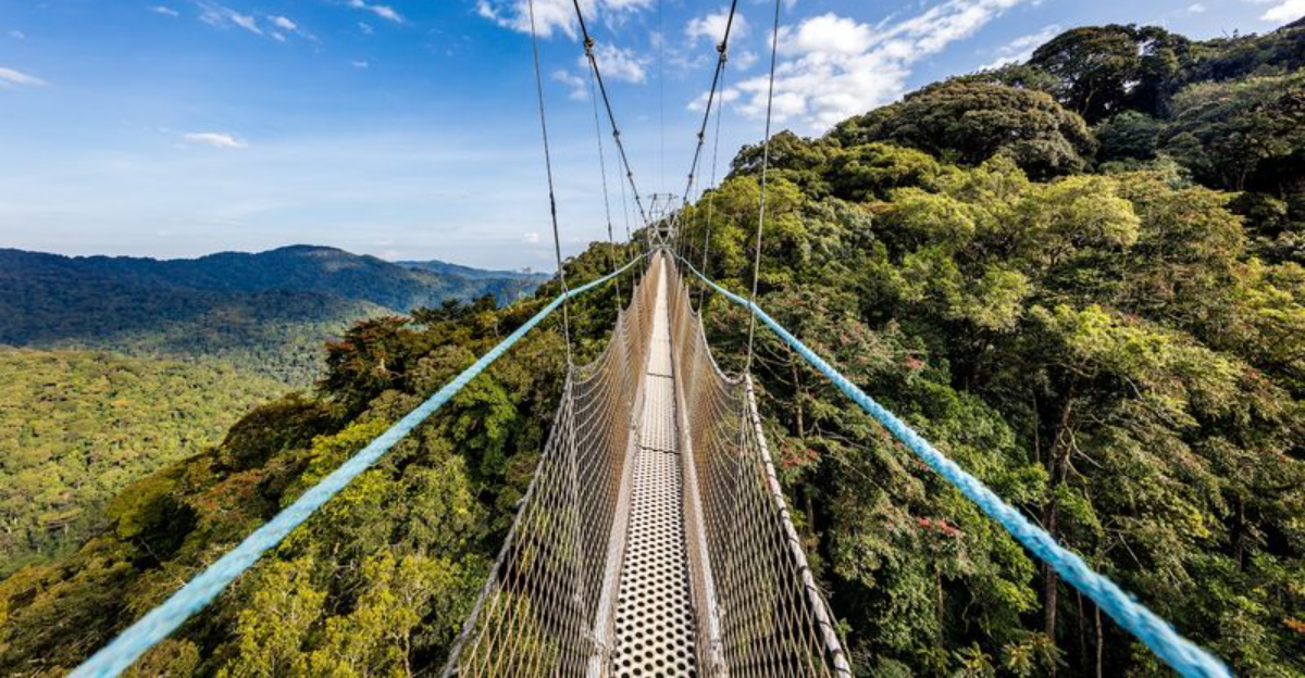 15 jungle destinations where nature still rules completely