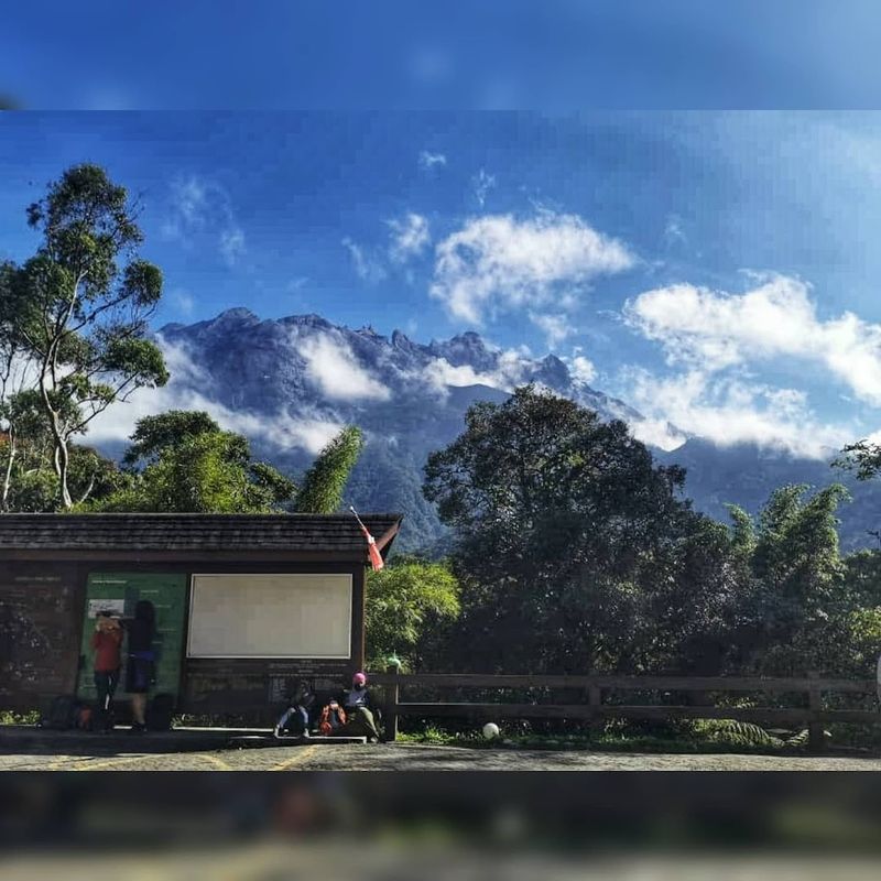 14 rainforest regions with animals found nowhere else