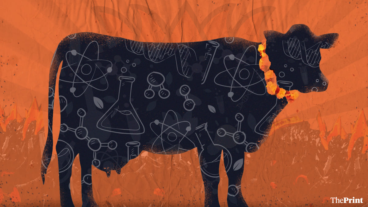Modi govt allocated Rs 98 cr for 'cowpathy' research in 2020. IIT ...