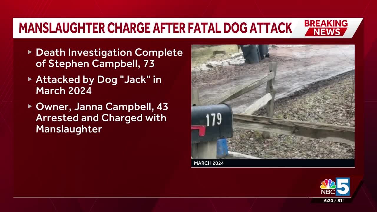 Dog owner charged with manslaughter after fatal attack in Essex Junction