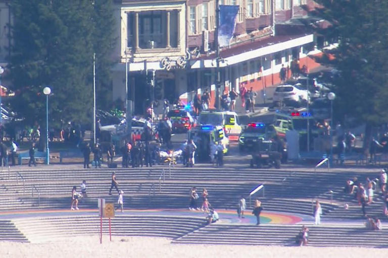 School praying for Sydney shark attack victim fighting for life