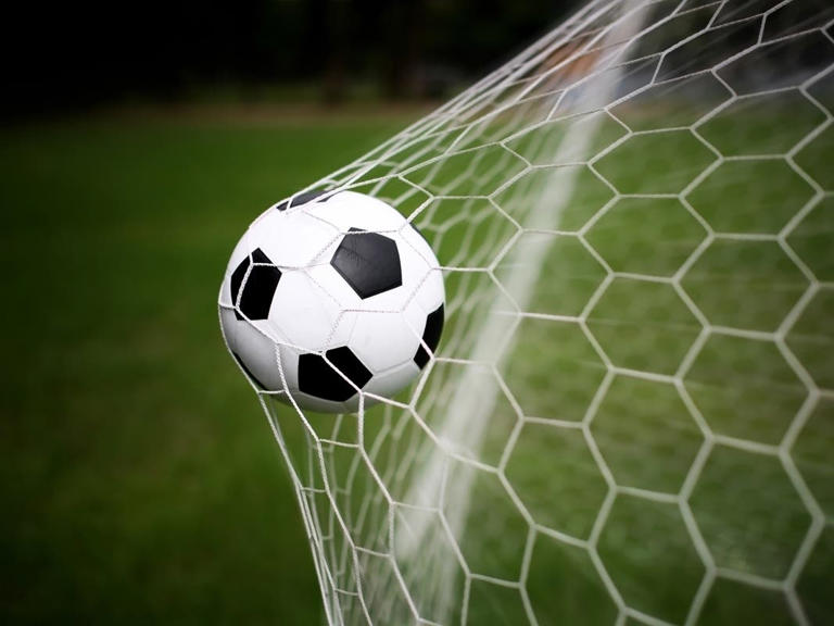 Basking Ridge to host Brazil-Morocco World Cup festival, watch party ...