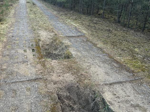 Kollenweg am Grünen Band: Dachs unterhöhlt "Naturmonument"