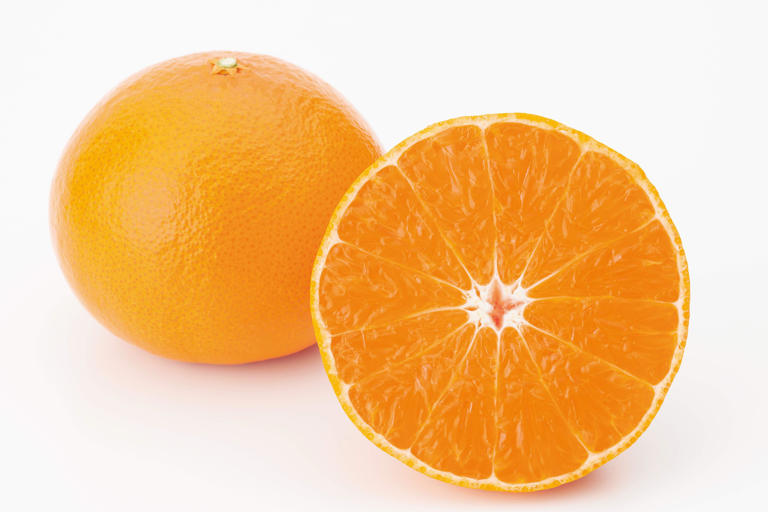 Newly developed Japan citrus likely carried off, saplings on sale in China