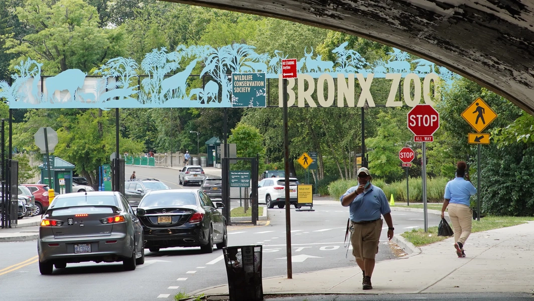11 US zoos leading in conservation and animal welfare