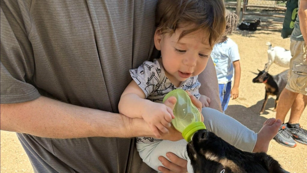 Colorado "birthday rule" creates coverage confusion for new parents