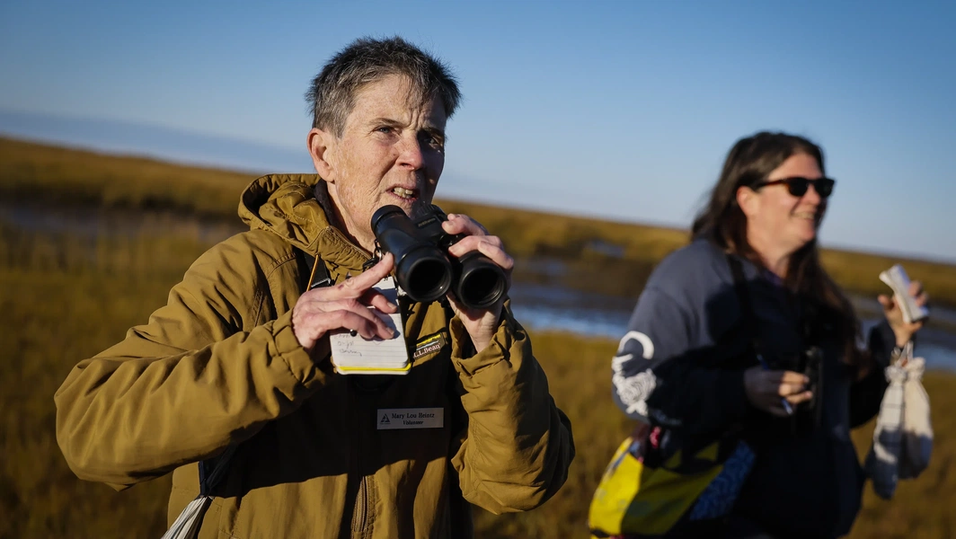 Painted bunting draws crowds as US birding hotspots revealed