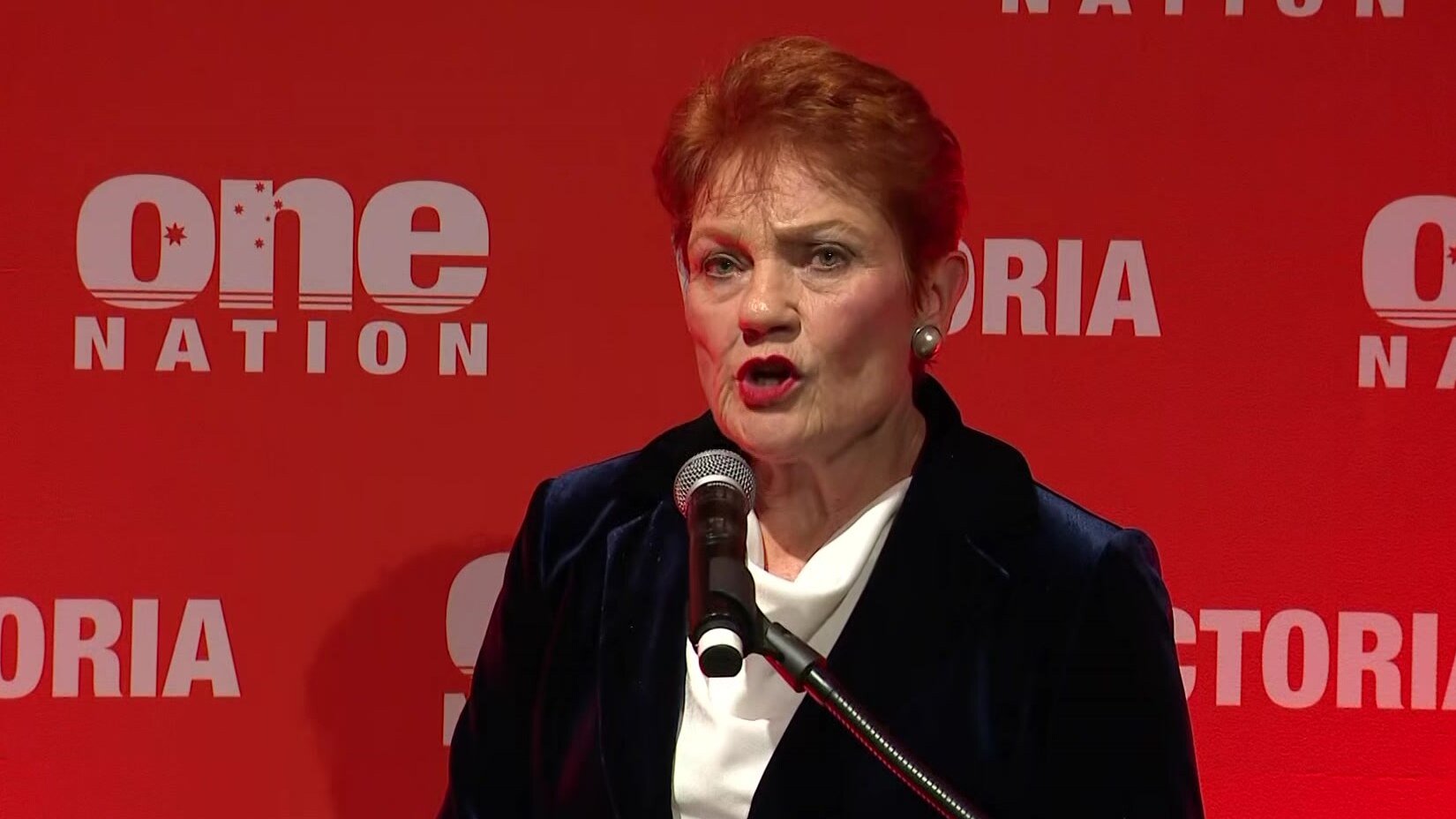 Victorian opposition leader Jess Wilson says Pauline Hanson has not ...