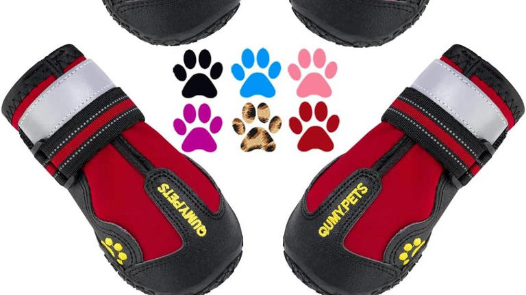 Amazon's $7 dog shoes are a summer life saver on hot pavement