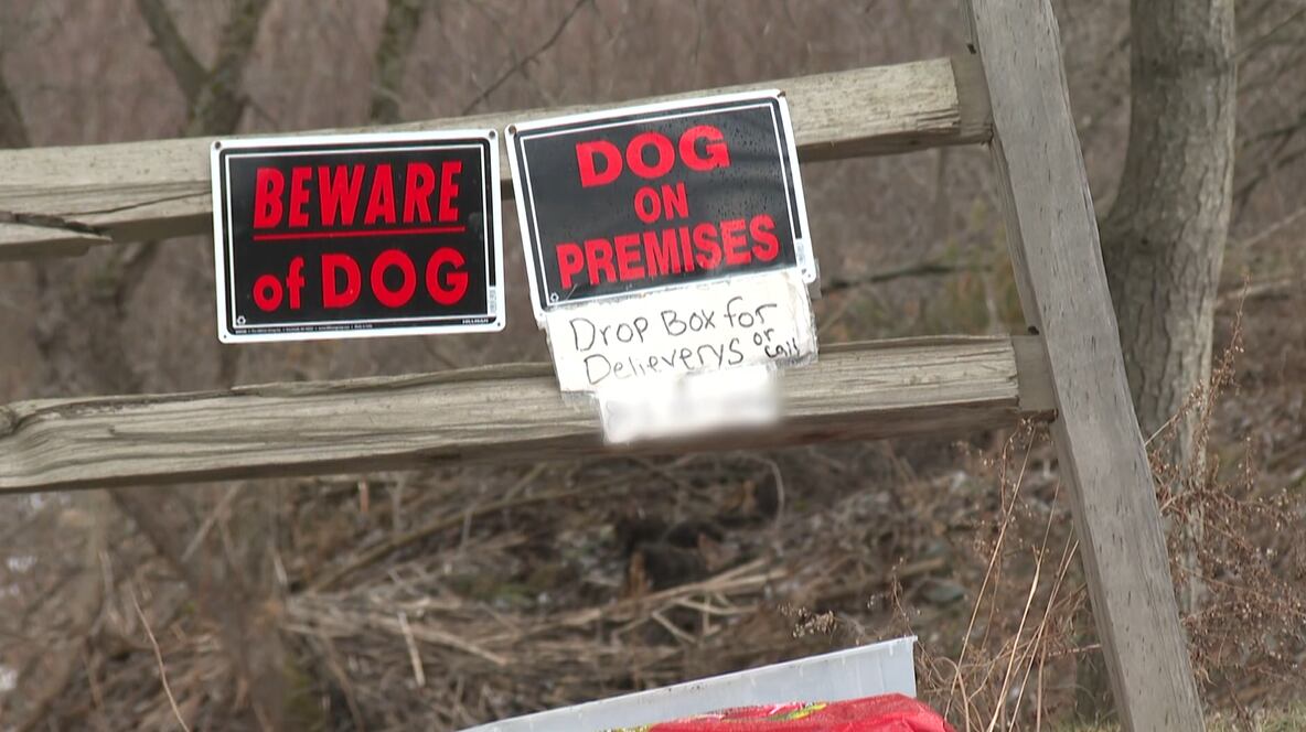 Essex woman cited for manslaughter after fatal pitbull attack