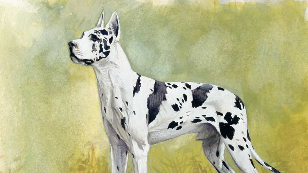 12 gentle giant dog breeds