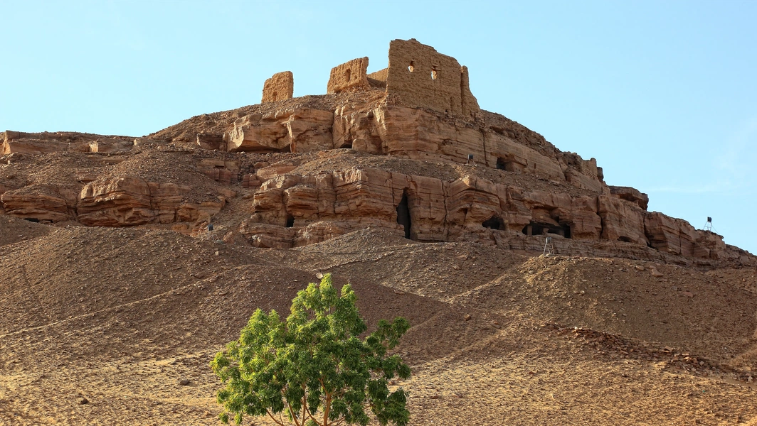 Aswan sarcophagus and Nile Delta temple unearthed