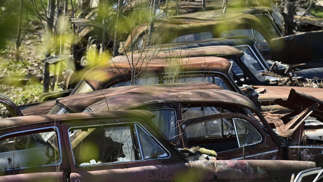 Båstnäs: Sweden’s forgotten forest of classic cars
