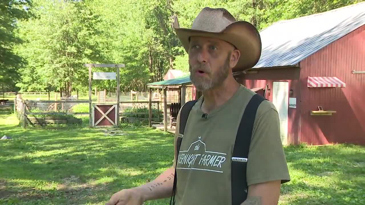 Baby animal born on local farm could be extremely rare: 'I thought I ...