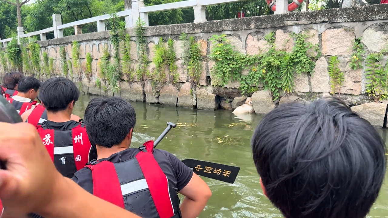 Dragon boat crew saves dog trapped by river in Jiangsu