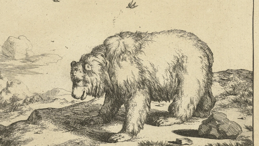 Giant short-faced bear: Ice Age apex predator