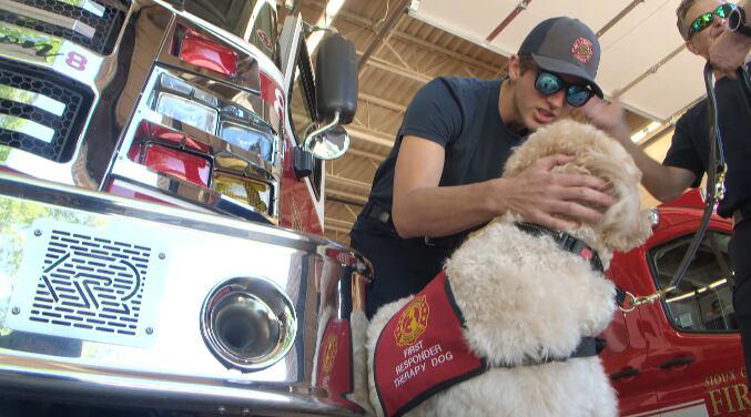 Sioux City Fire Rescue’s new recruit doesn’t run into burning buildings ...