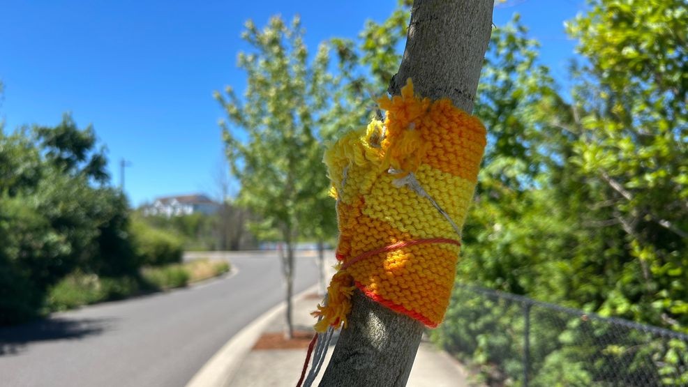 Someone keeps thwarting Beaverton resident's attempts to cover racist ...